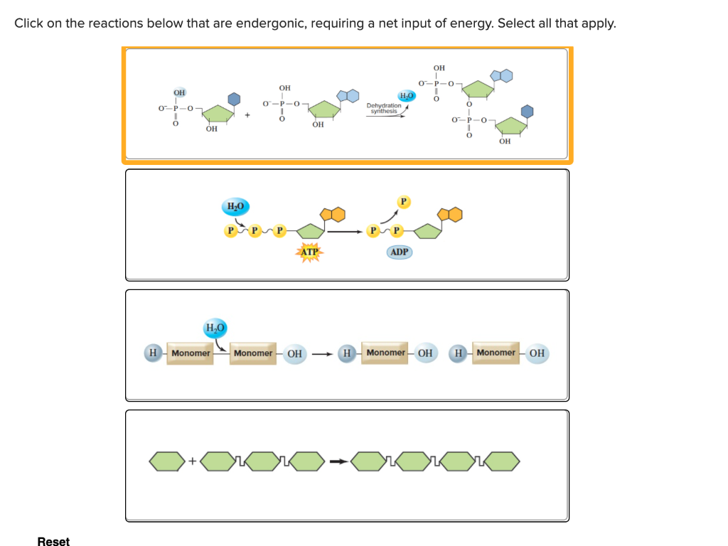Solved Click on the reactions below that are endergonic, | Chegg.com