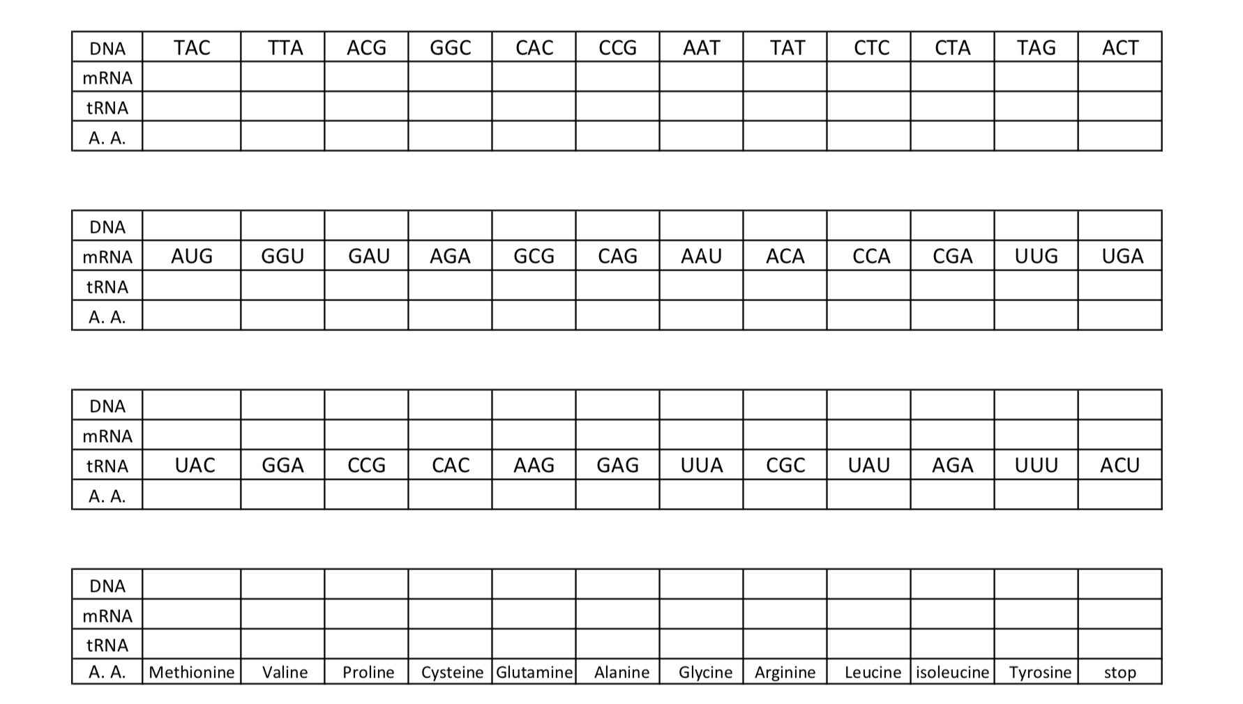 Solved DNA TAC TTA ACG GGC CAC CCG ААТ TAT CTC CTA TAG ACT | Chegg.com