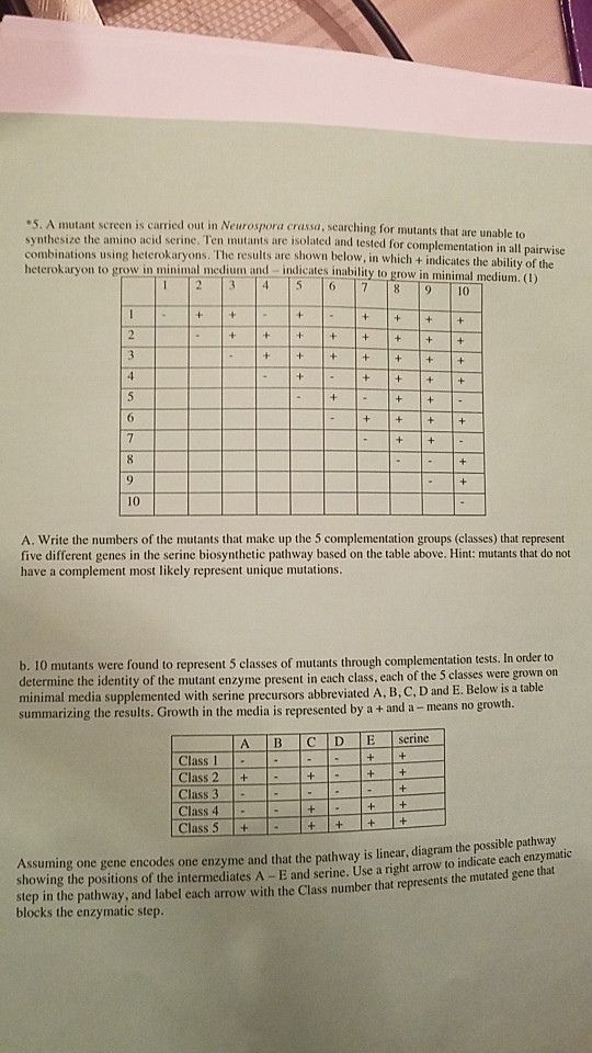 Solved 5. A mutant screen is carried out in Neurospora | Chegg.com