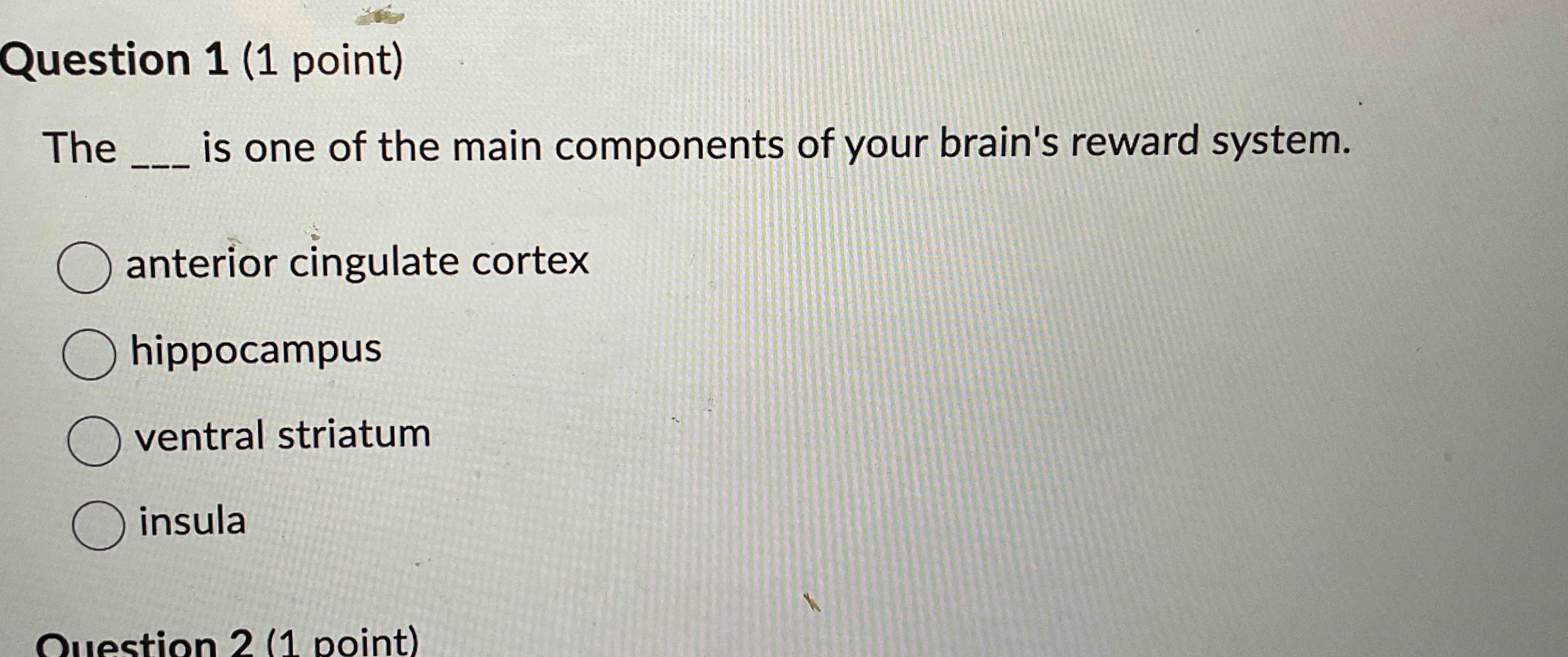 Solved Question 1 (1 ﻿point)The is one of the main | Chegg.com