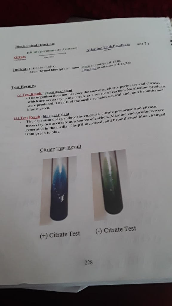 Solved Exercse 29. Citrate Test tested tive: The purpose of | Chegg.com