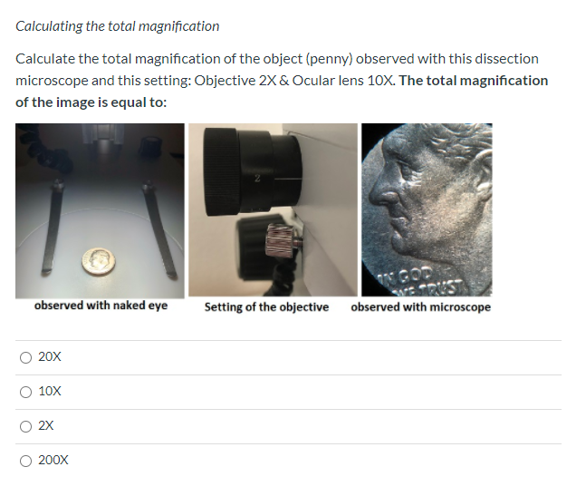 Solved Calculating the total magnification Calculate the | Chegg.com