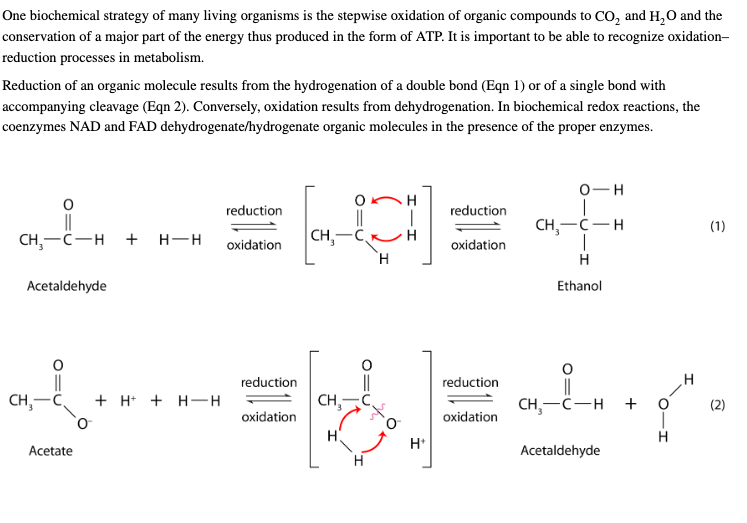 Solved One biochemical strategy of many living organisms is | Chegg.com