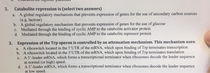 Solved 2. Catabolite repression is (select two answers) A | Chegg.com