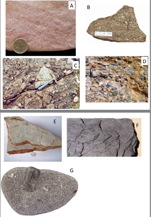 Solved at each of the images. Indicate if each rock is | Chegg.com