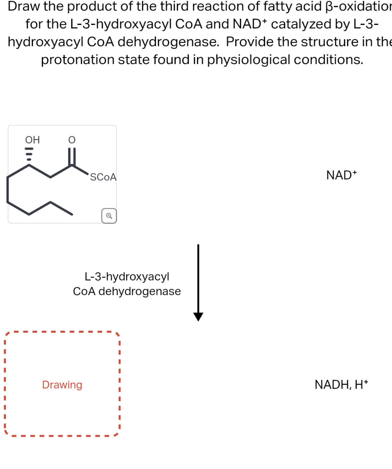Solved Draw the product of the third reaction of fatty acid | Chegg.com