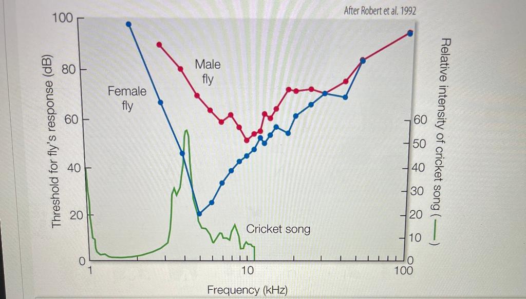 Solved Based on the auditory tuning curve below, what | Chegg.com