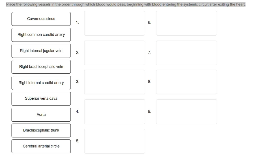 Solved Place the following vessels in the order through | Chegg.com