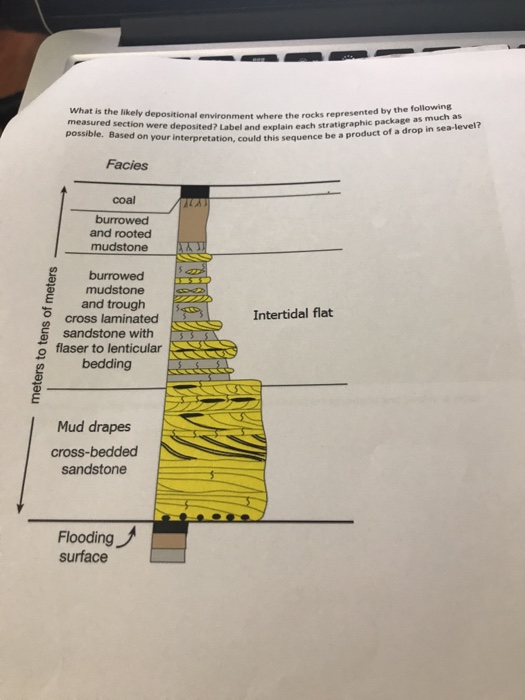 Solved What is the likely depositional measured section were | Chegg.com
