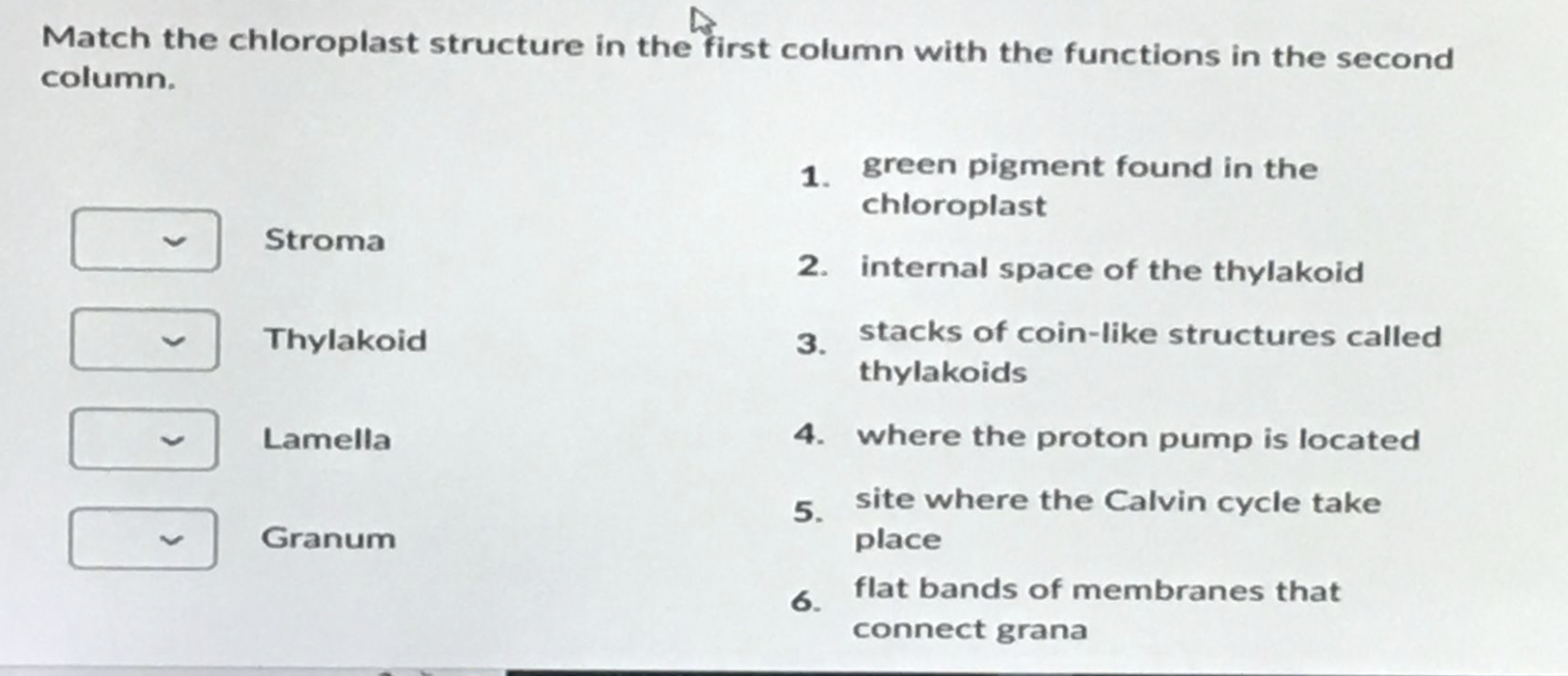Solved (a) What is the relationship between ATP and ADP? (b) | Chegg.com