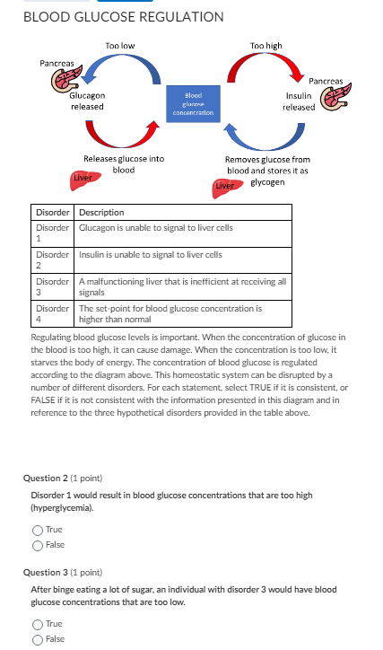 Solved Regulating blood glucose levels is important. When | Chegg.com