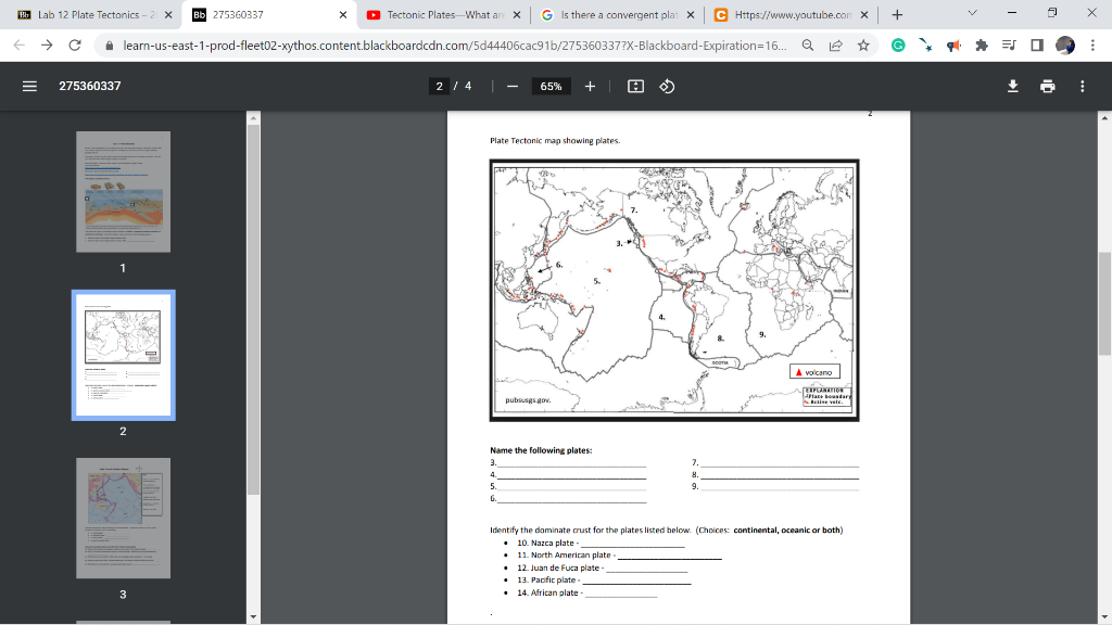 Solved Ho Lab 12 Plate Tectonics х Bb 275360337 X Tectonic | Chegg.com