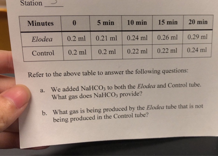 Solved Station Minutes 5 min 10 min 15 min 20 min Elodea 0.2 | Chegg.com