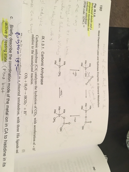 Solved Carbonic anhydrase (CA) catalyzes the hydration of | Chegg.com