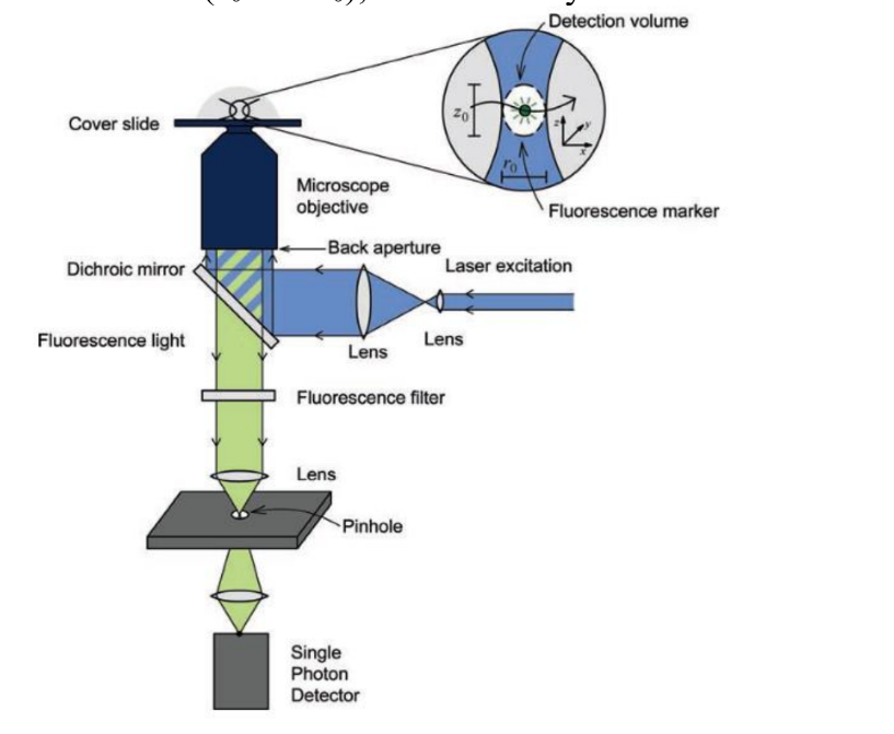 Solved The figure below shows a schematic of a confocal | Chegg.com