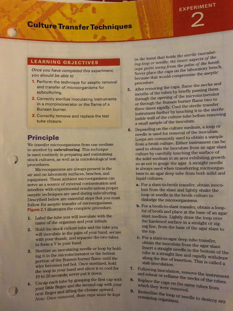 I have attached lab reports and lab pictures. I need | Chegg.com