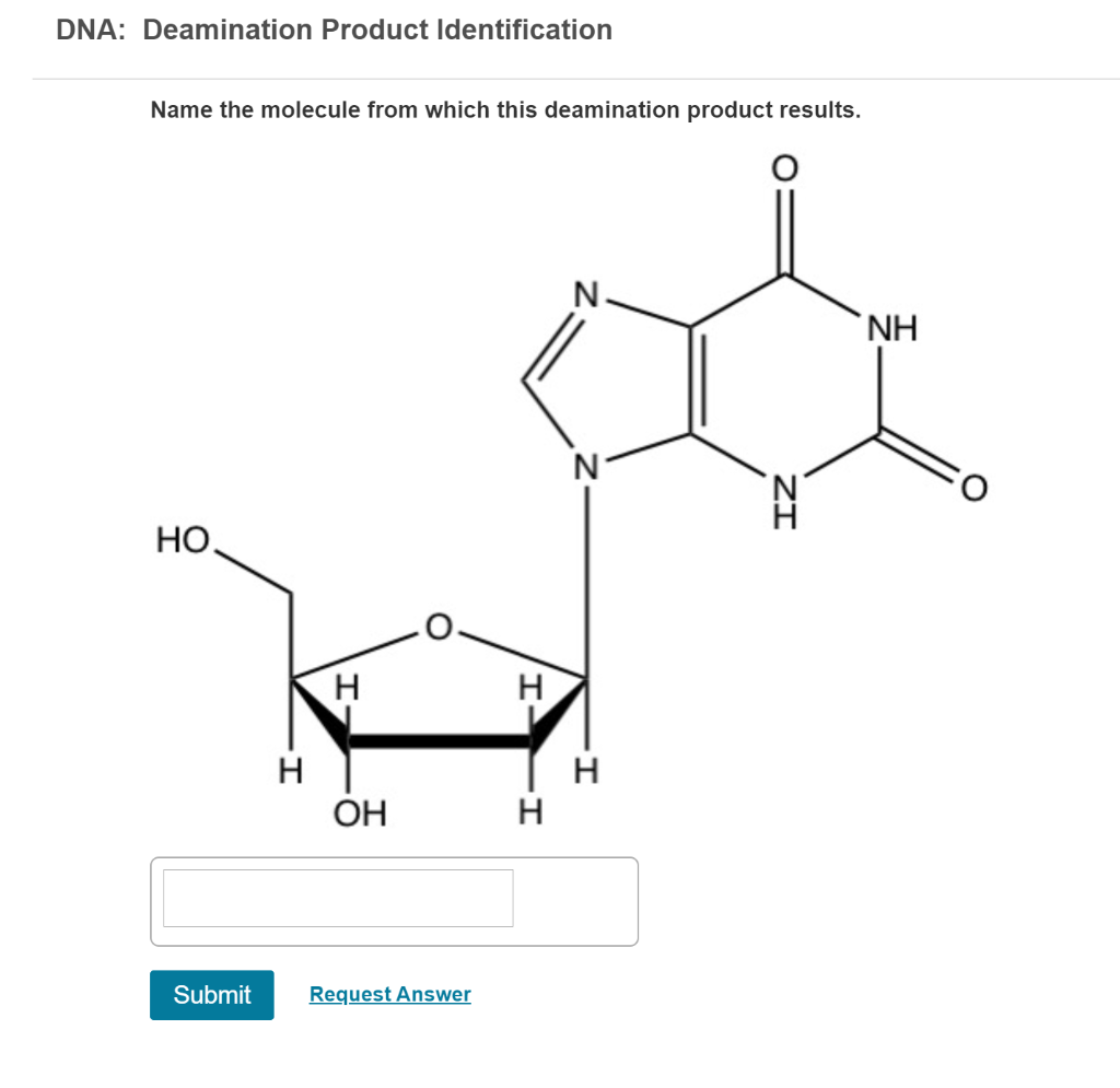 Solved DNA: Deamination Product Identification Name the | Chegg.com