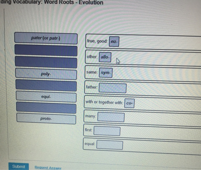 Solved ding Vocabulary: Word Roots Evolution pater (or | Chegg.com