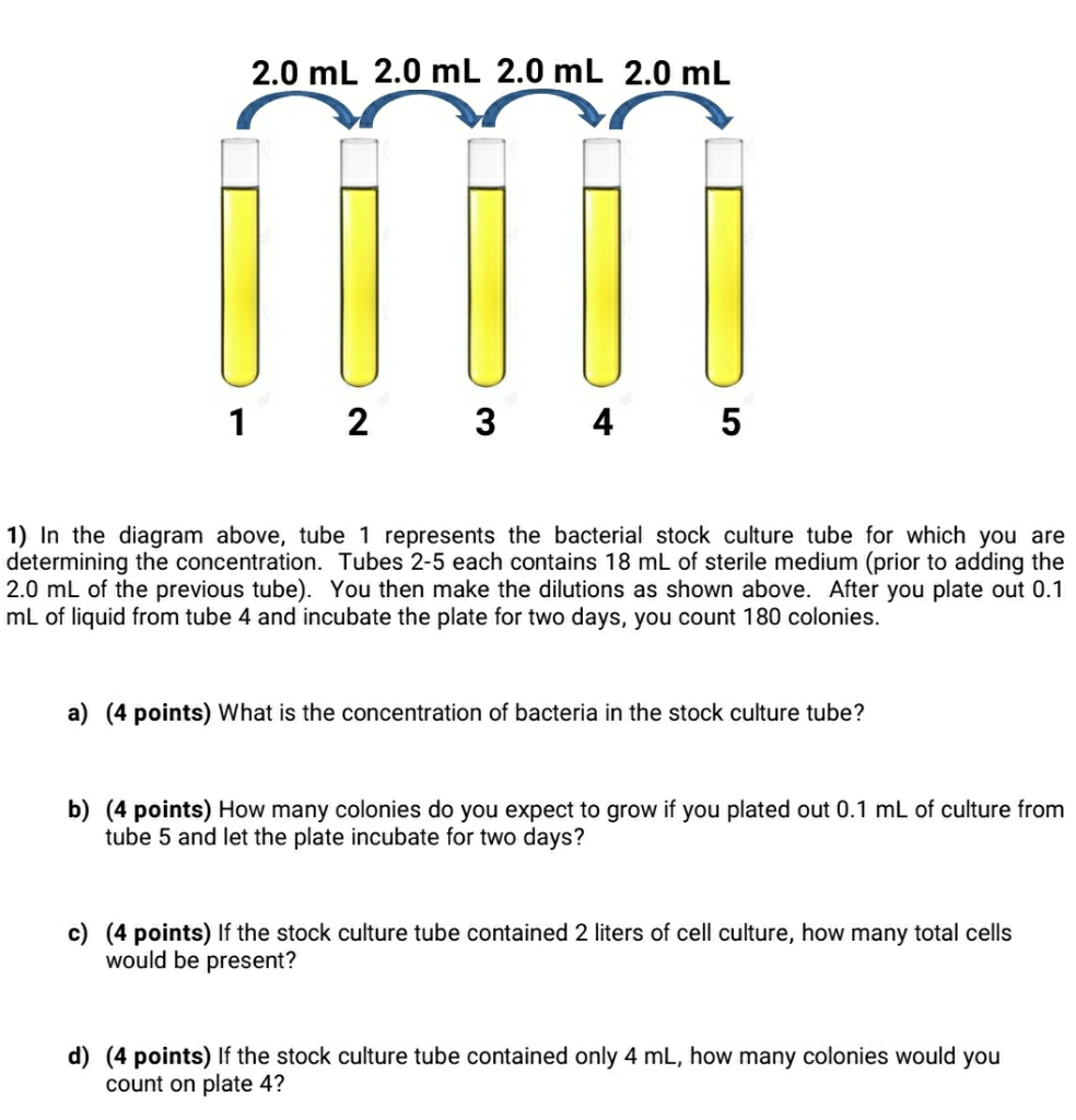 Solved 2.0 mL 2.0 mL 2.0 mL 2.0 mL 1 2 3 4 5 1) In the | Chegg.com