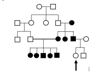Solved Note: The mode of inheritance in this pedigree does | Chegg.com