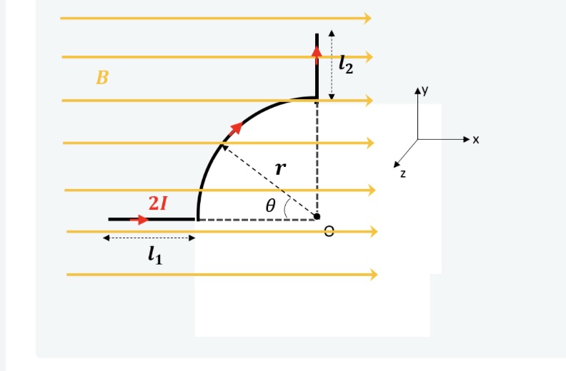 Solved Evaluate the magnitude of the net magnetic force on a | Chegg.com