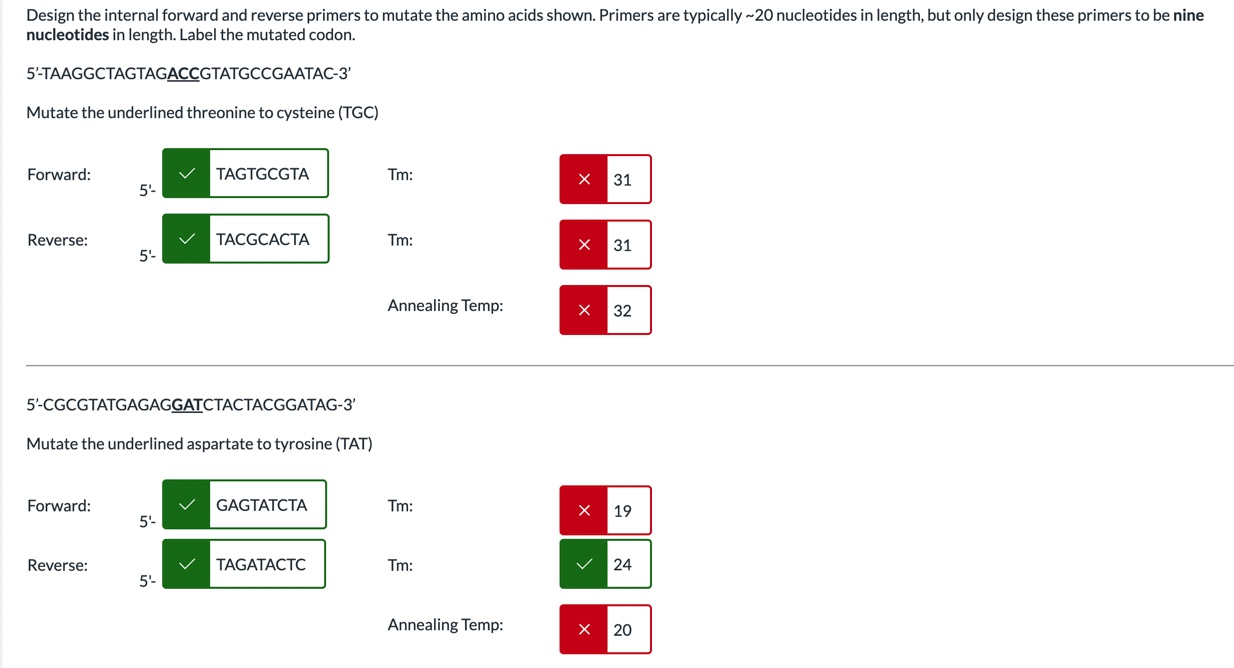 Solved Design the internal forward and reverse primers to | Chegg.com
