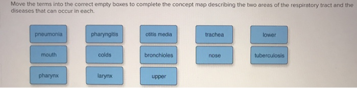 Solved Move the terms into the correct empty boxes to | Chegg.com