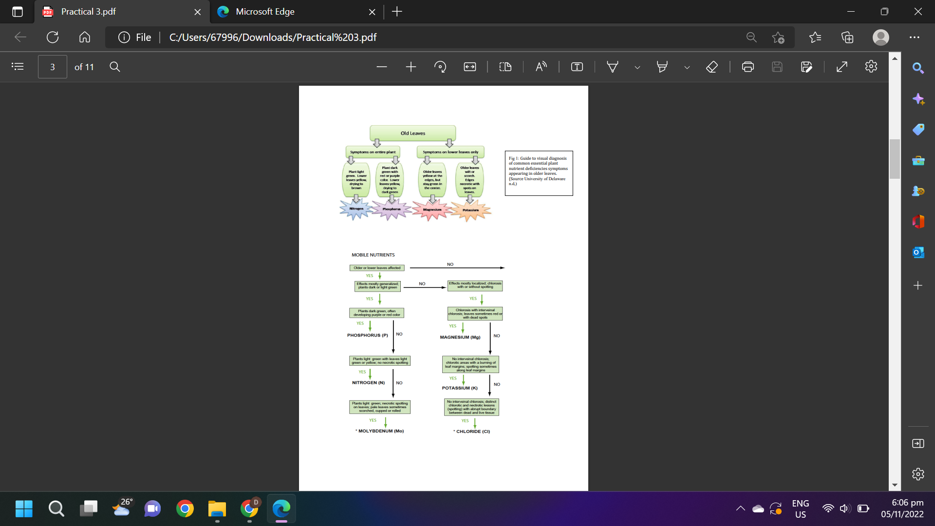 Learning Outcome To identify deficiency symptoms | Chegg.com