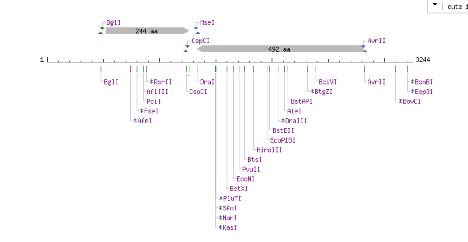 1. Detail how you would clone the small ORF gene into | Chegg.com