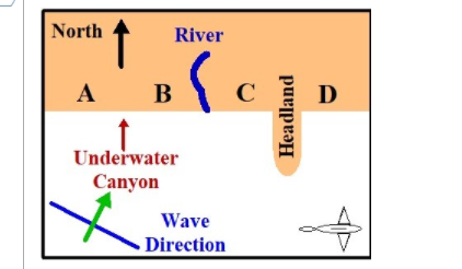 Solved 1. What is the source of sand on sandy beaches? In | Chegg.com