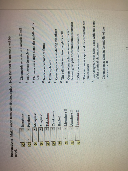 Solved Instructions: Match each term with its description. | Chegg.com