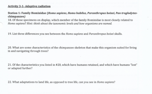 Solved Activity 3-1- Adaptive radiation Station 1: Family | Chegg.com