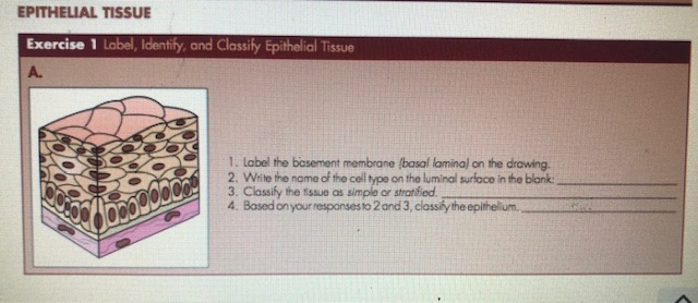 Solved Examine each figure carefully and familiarize | Chegg.com