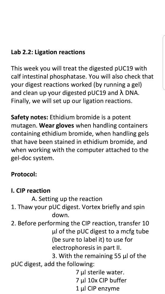 Solved 2. Why did we treat digested pUC19 DNA with the CIP | Chegg.com