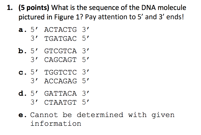Solved 1. (5 points) What is the sequence of the DNA | Chegg.com