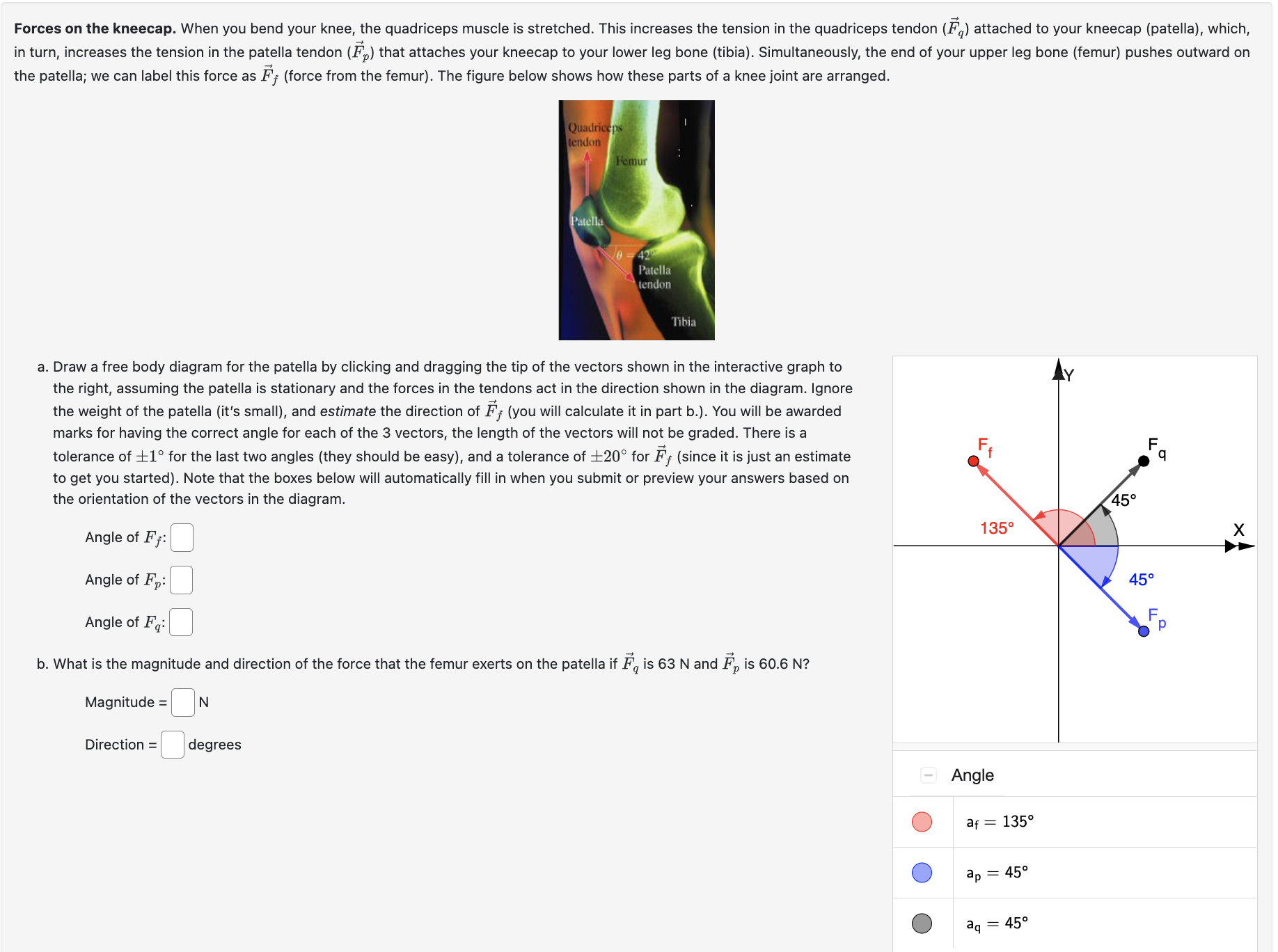 Solved Forces on the kneecap. When you bend your knee, the | Chegg.com