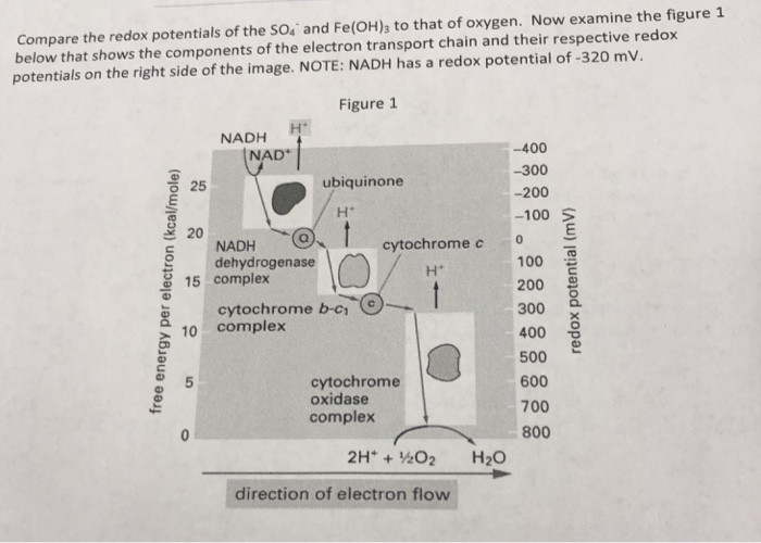 Compare the redox potentials of the SO4 and Fe(OH)a | Chegg.com