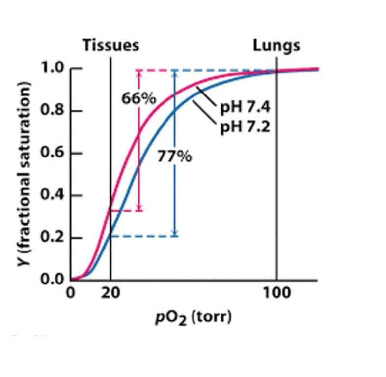 Solved Describe the meaning of this chart to explain the | Chegg.com