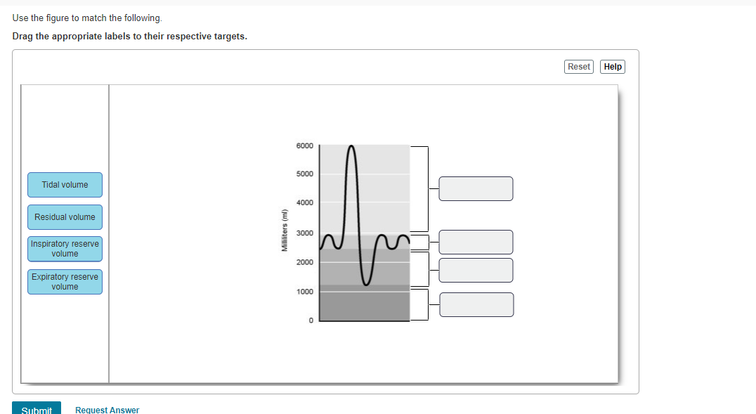 Solved Use the figure to match the following. Drag the | Chegg.com