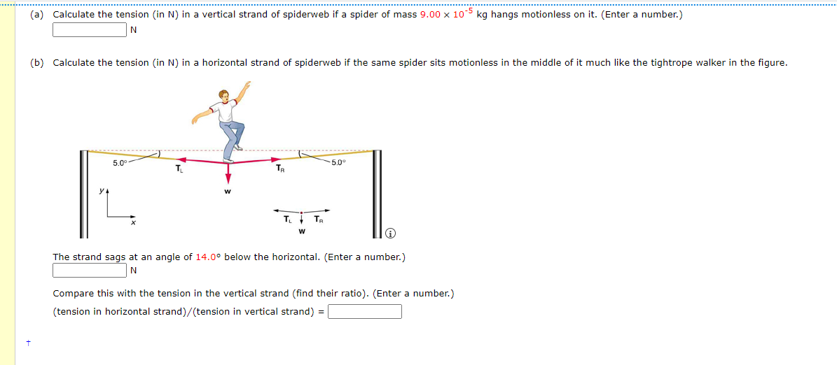 Solved (a) Calculate the tension (in N ) in a vertical | Chegg.com