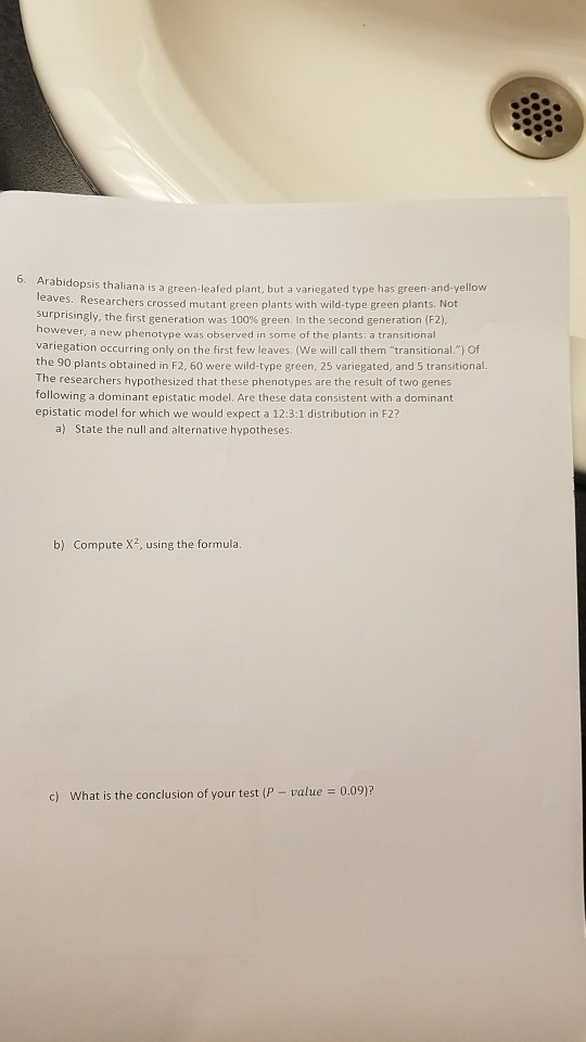 Solved 6. Arabid opsis thaliana is a green-leafed plant, but | Chegg.com