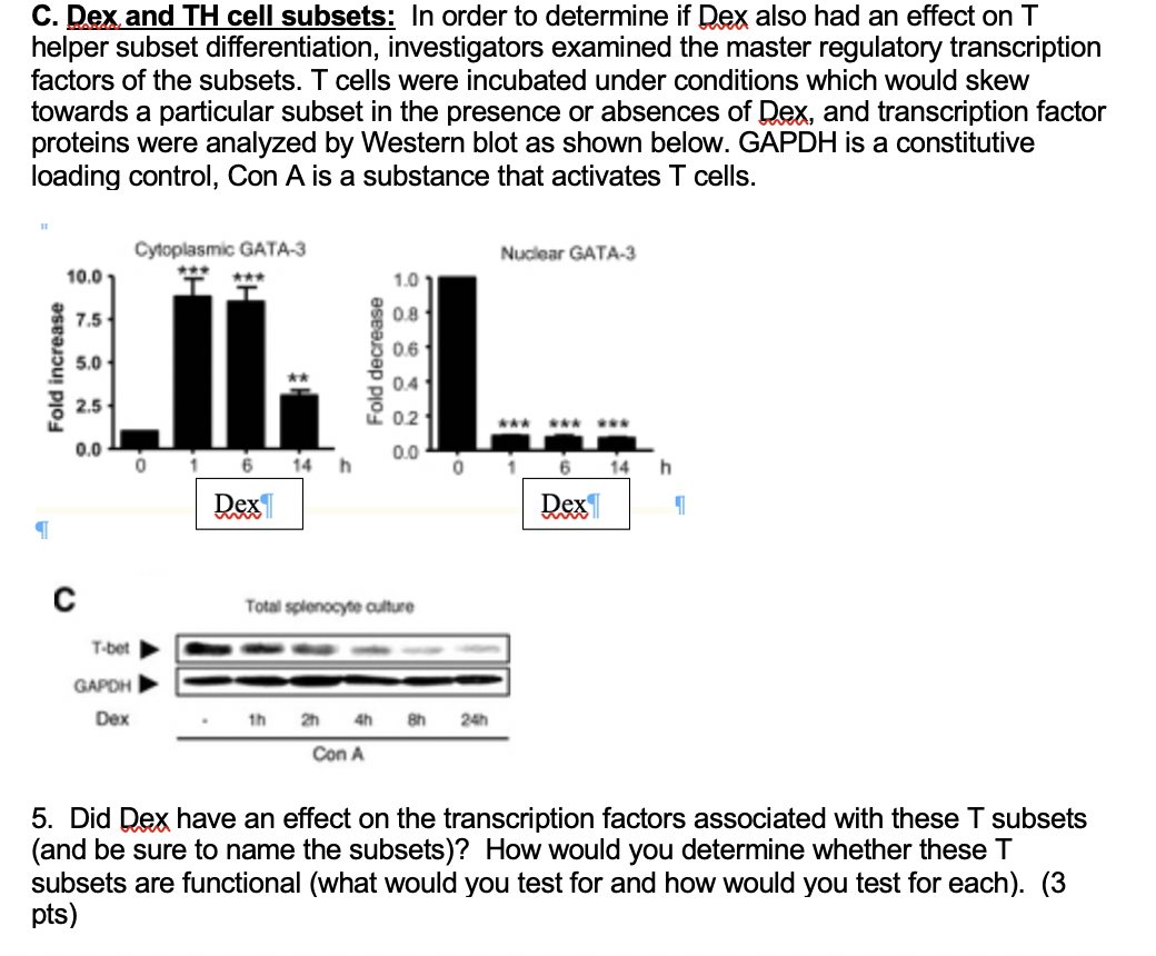 Solved C. Dex and TH cell subsets: In order to determine if | Chegg.com