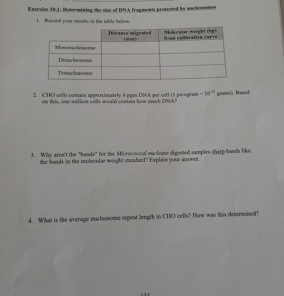 Exercise 10.1: Determining the size of DNA fragments | Chegg.com