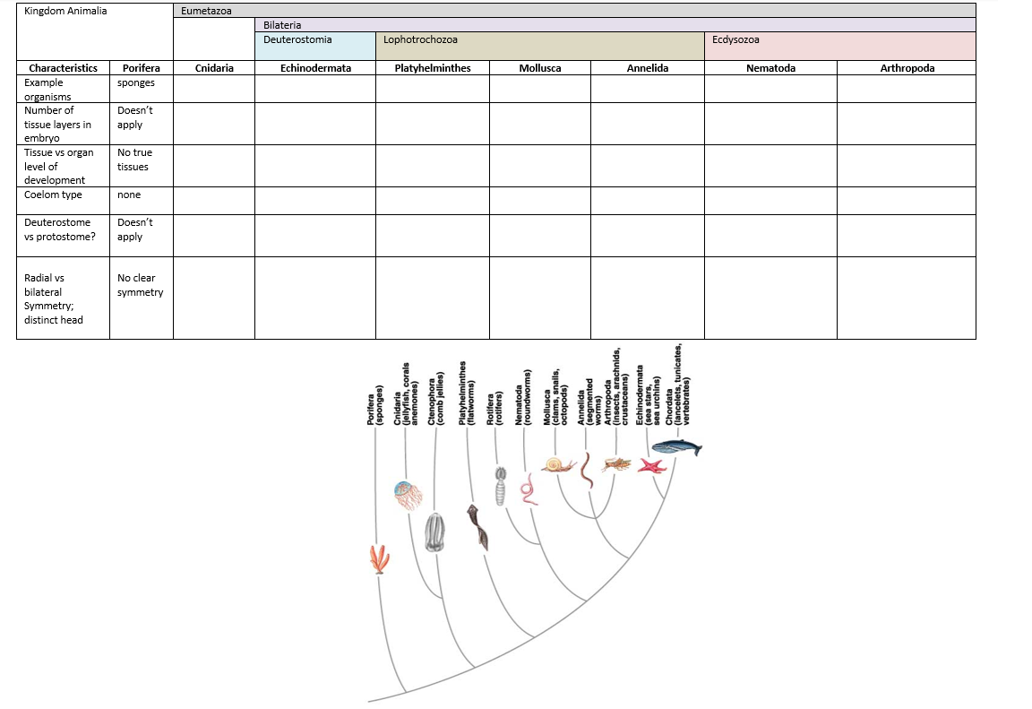 Solved Fill in the table below to organize the major | Chegg.com