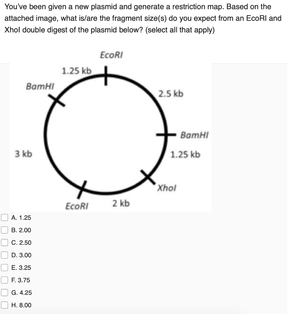 Solved You've been given a new plasmid and generate a | Chegg.com