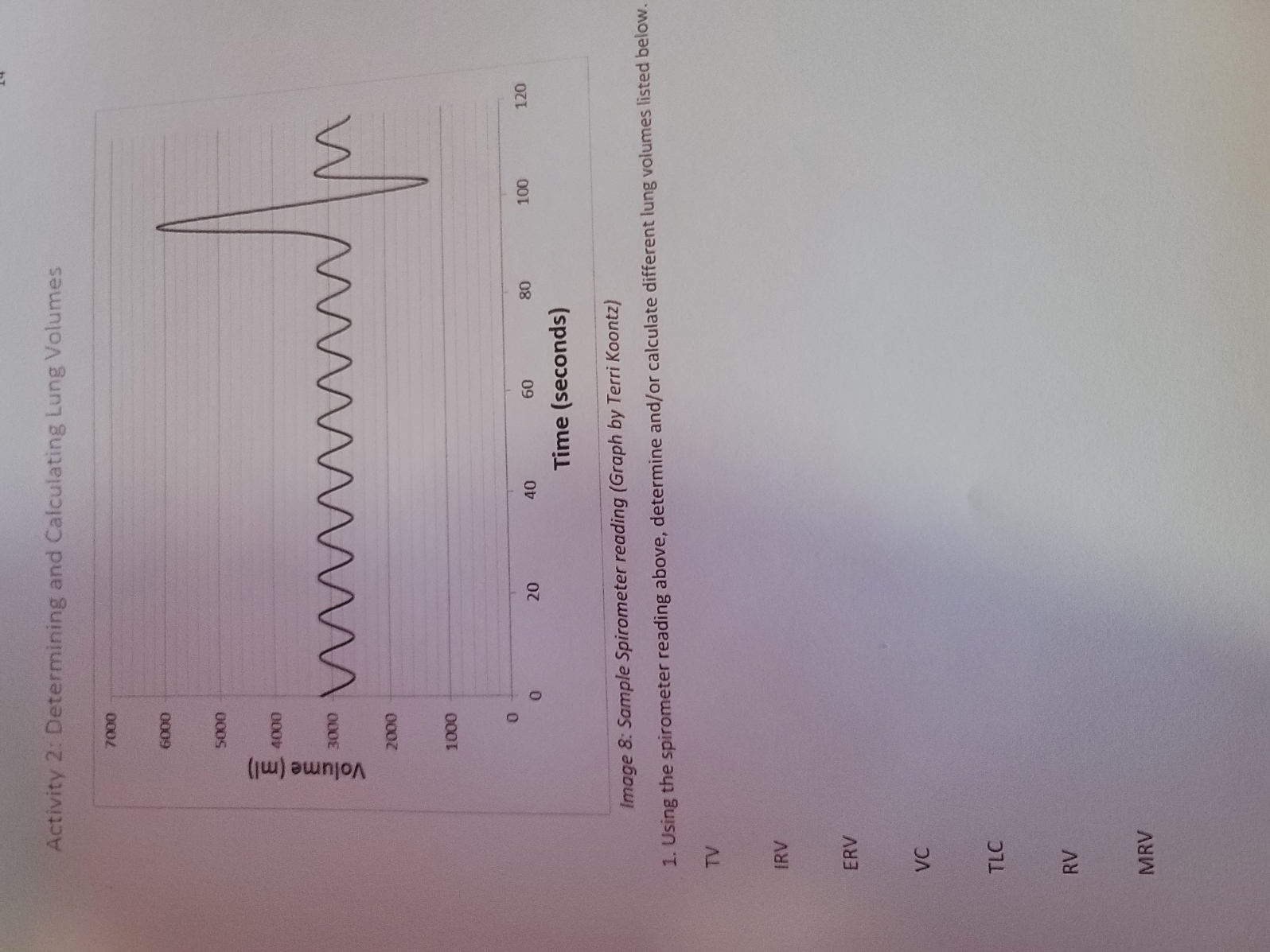 Solved Activity 2: Determining and Calculating Lung | Chegg.com