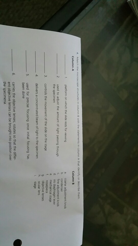 Solved 4. Match the microscope structures in column B with | Chegg.com