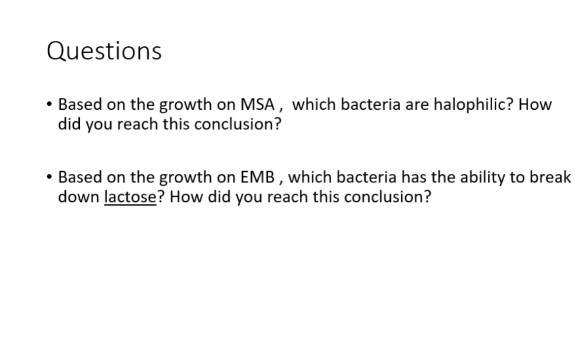 Solved Growth on EMB E. coli Enterobacter aerogenes | Chegg.com