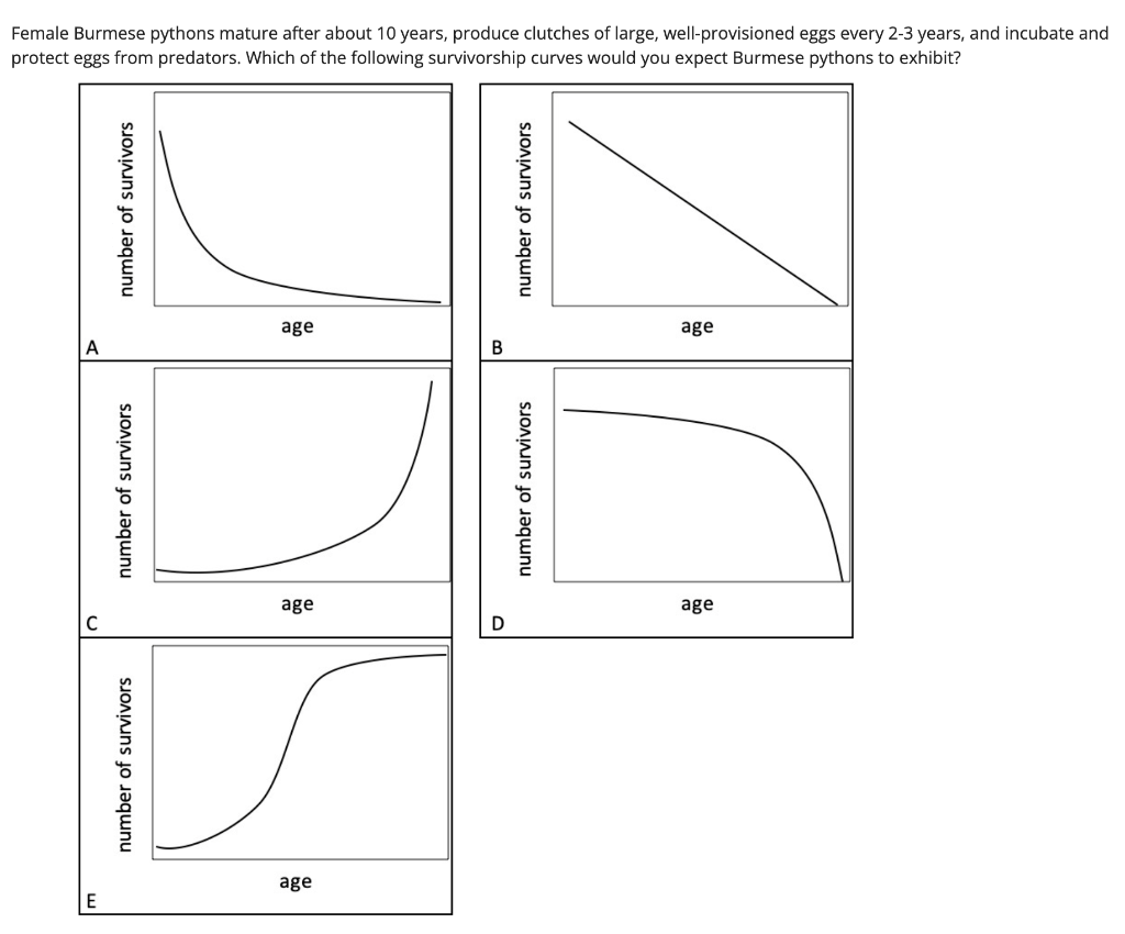Solved Female Burmese pythons mature after about 10 years, | Chegg.com