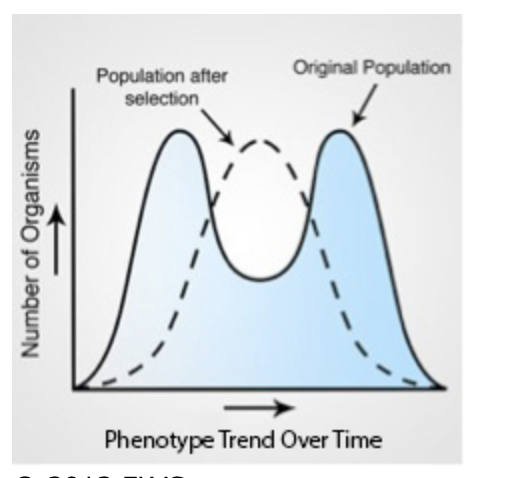 Solved 1. Analyze the following graph, which shows how an | Chegg.com